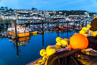 Through the Gaps! - Newlyn Fishing News: Monday's morning fish market ...