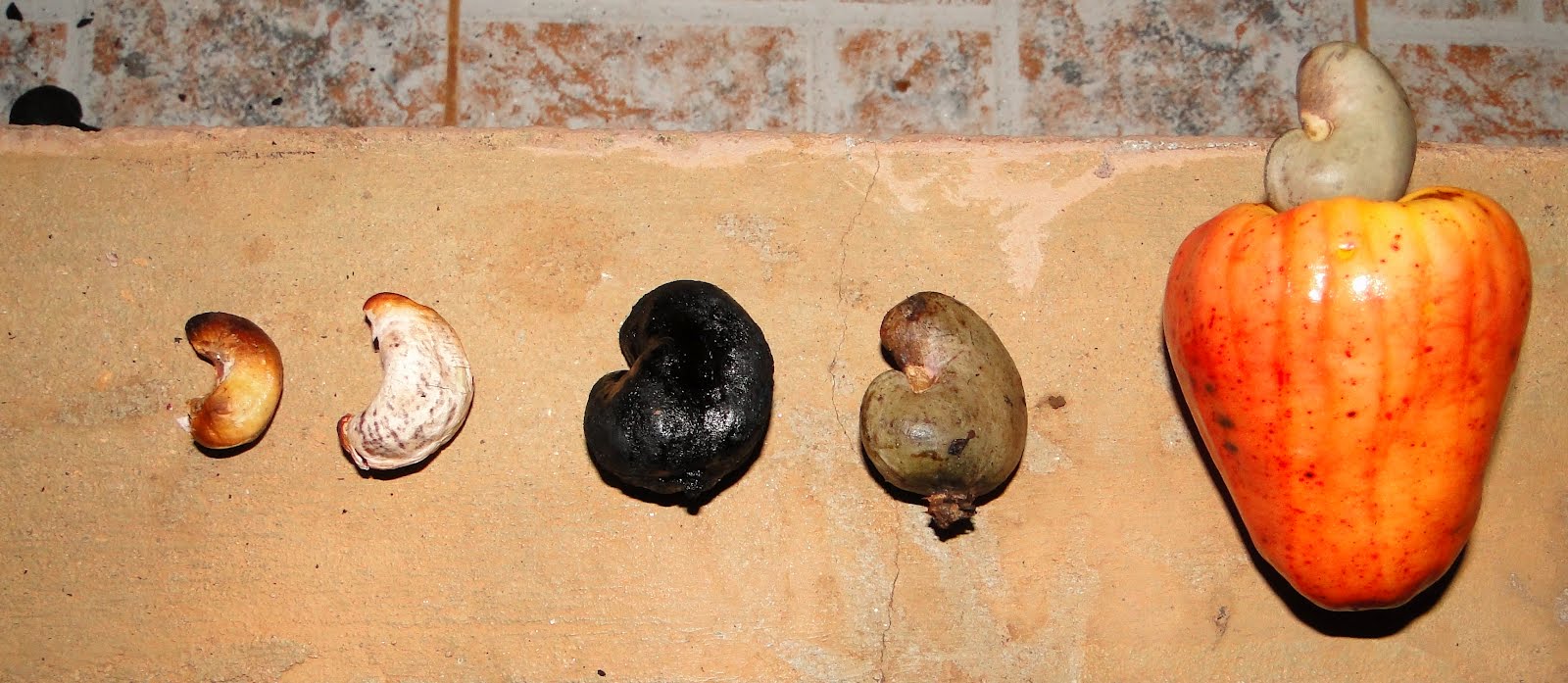 Live Panama: Marañón