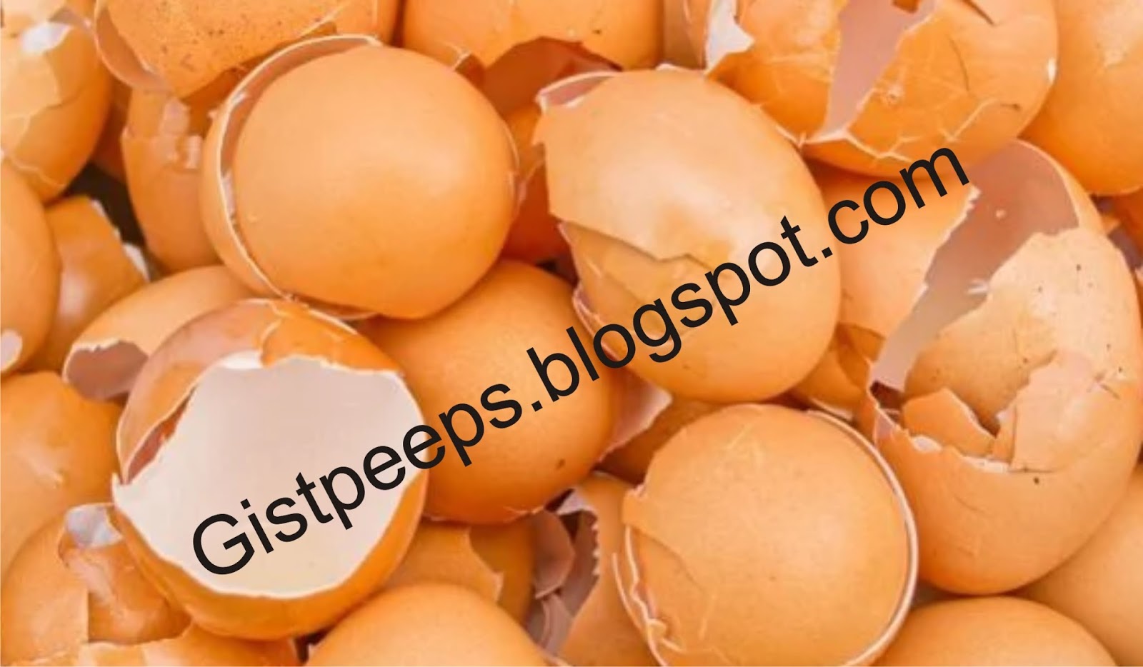Health Benefits of Eggshell - GistOk