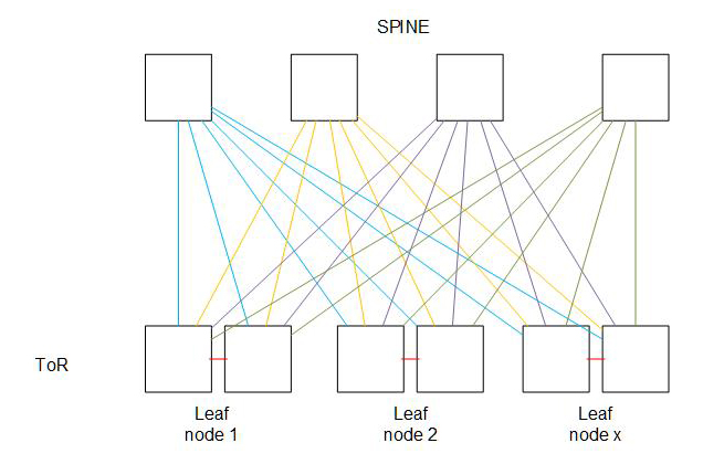 Spine And Leaf Nodes
