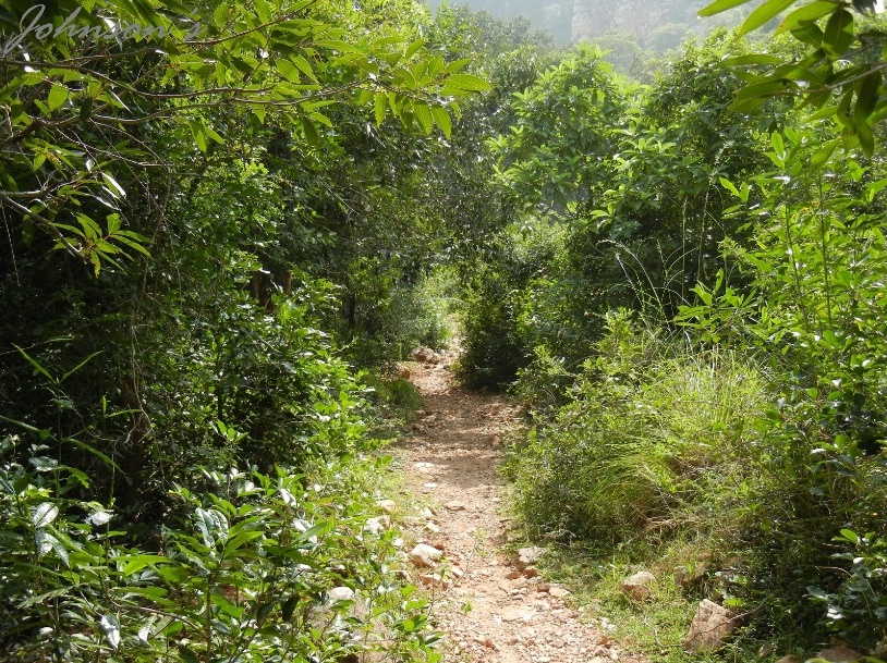 Waterfalls Near Chennai: KAILASA KONA WATERFALLS ( KONAI FALLS)