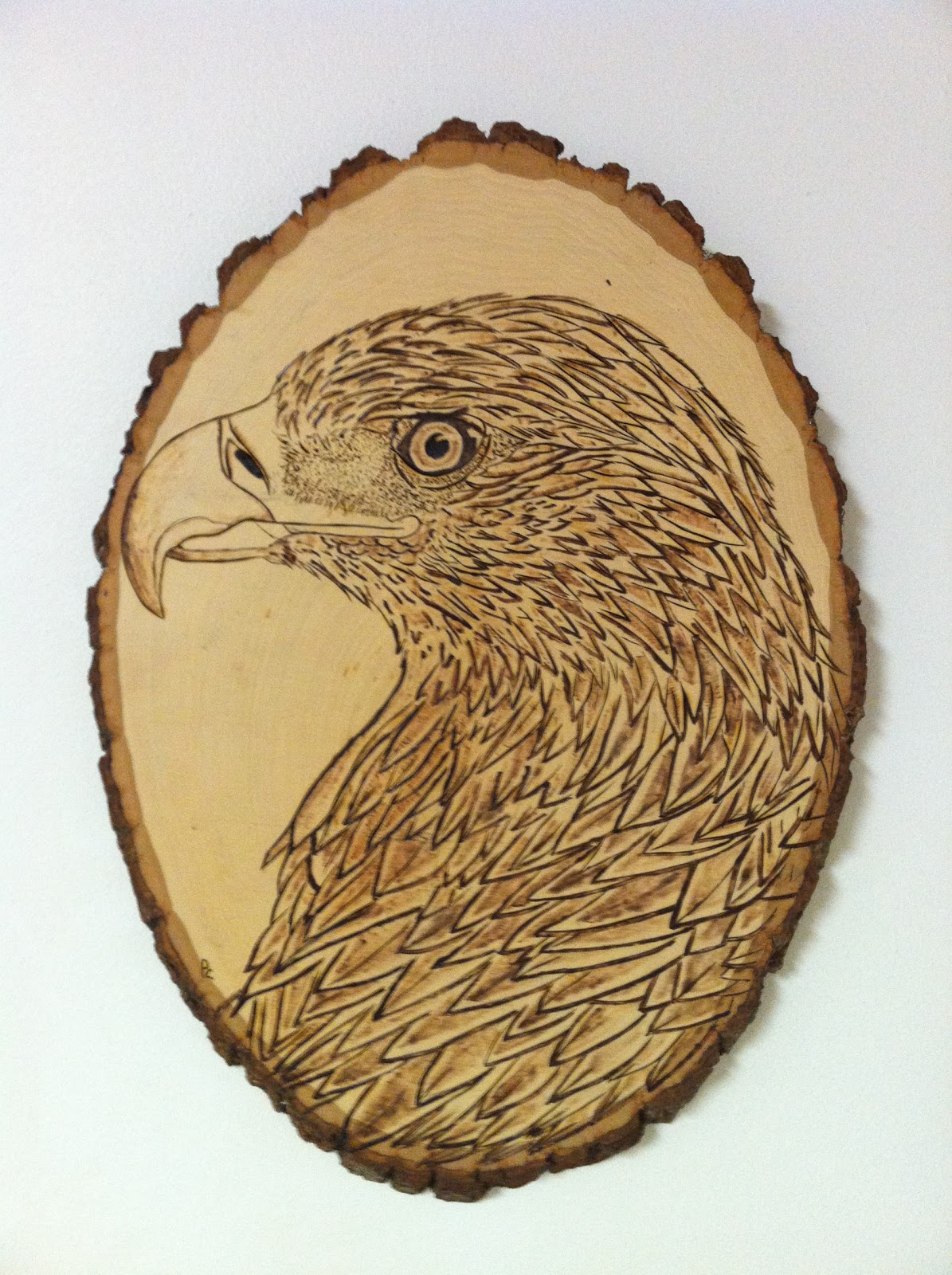 Up The Creek...: Pyrography - Eagle (Part 2)
