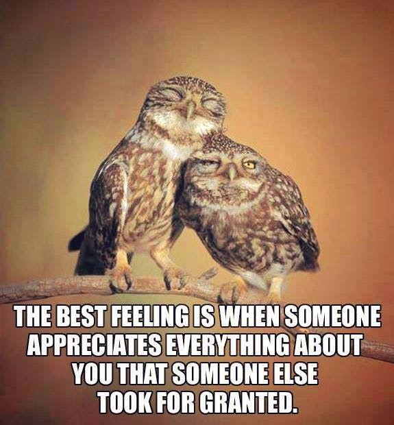 THE BEST FEELING IS WHEN SOMEONE APPRECIATES EVERYTHING ABOUT YOU THAT the-best-feeling-is-when-someone-appreciates-everything-about-you-that