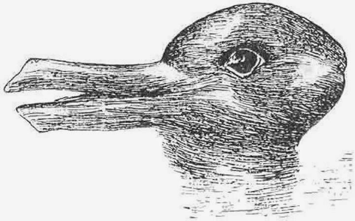 Top Illusions : WEIRD NEWS: Awesome Duck And Rabbit Illusion