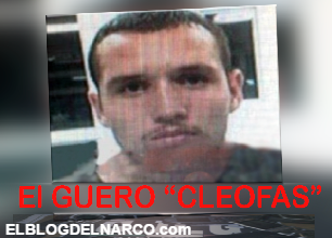 Noticias sobre el narco : MundoNarco.Com