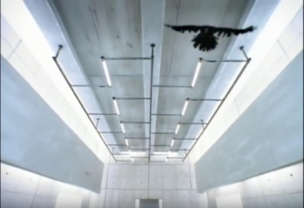 Through The Lens Productions: Music Video Analysis: Jamiroquai ...