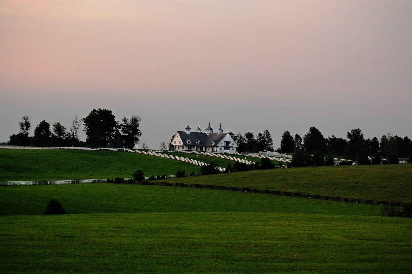 A Feathered Nest: That's it...I'm moving to Kentucky