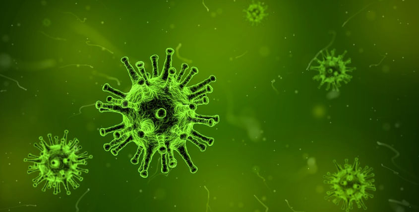 Virus (Pengertian, Ciri-Ciri, Bentuk, Klasifikasi Serta Pencegahan Dan ...