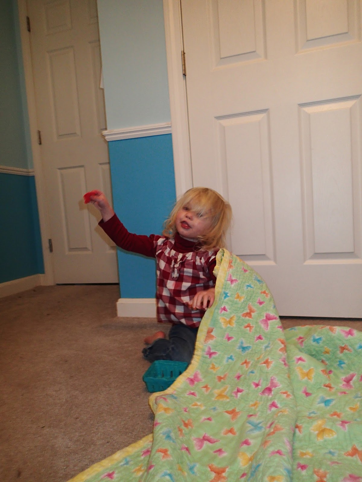 1 Day at Home: Fruits and Vegetables