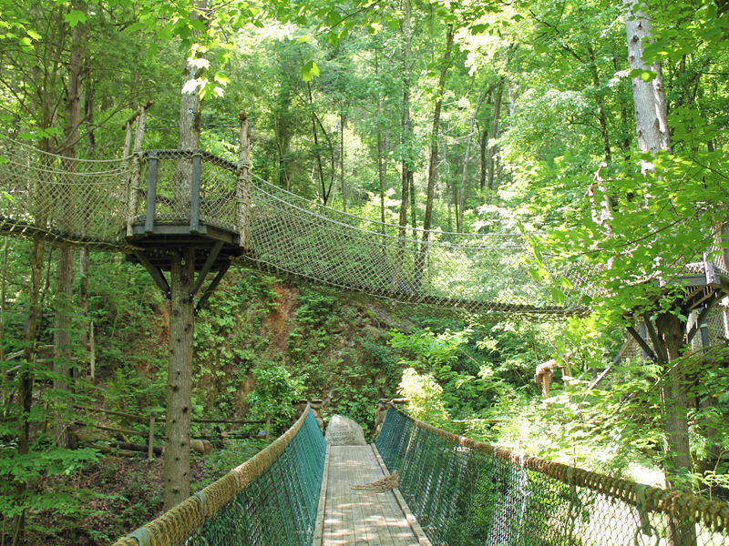 Discover Foxfire Mountain Swinging Bridge | Travel Quest - US Road Trip ...