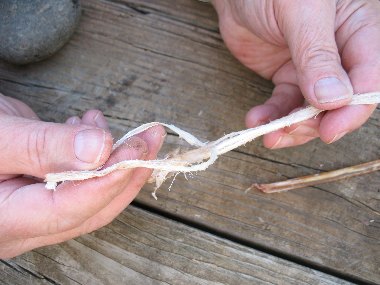 Sensible Survival: Preparing and Using Sinew