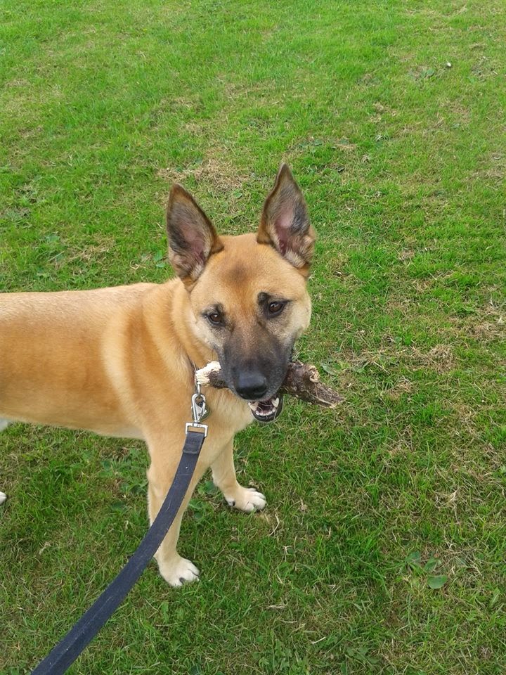 Flora's Post(e): 2014