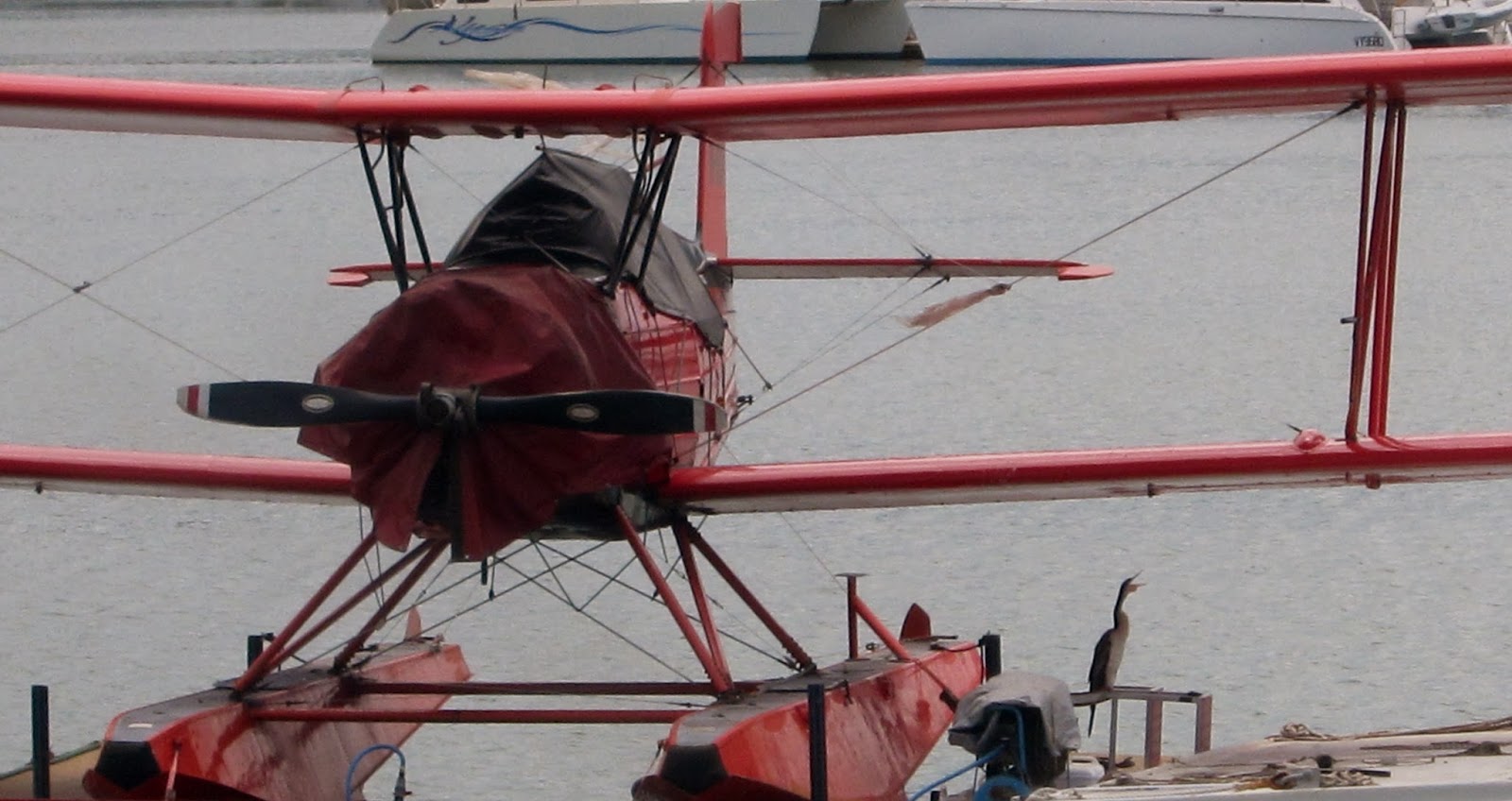 Little Darwin: RED BARON MIT DAREDEVIL TAIL GUNNER IN TOWNSVILLE