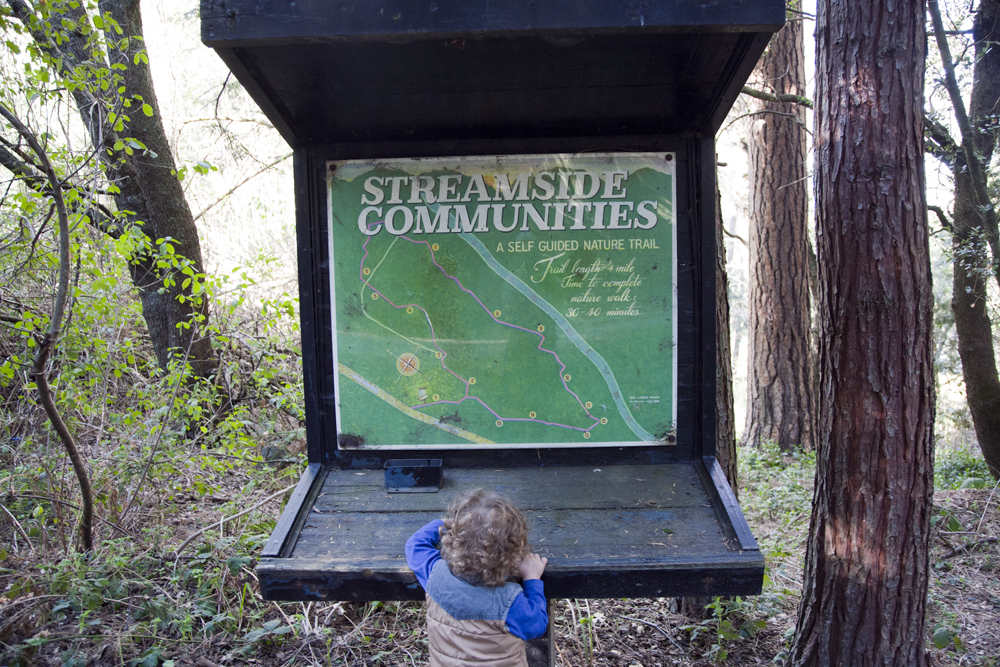 Papa's Poncho: Wishon Campground :: Sequoia National Forrest