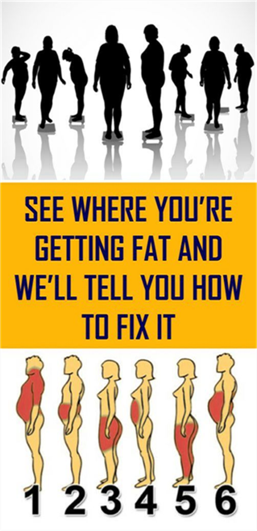 scientific facts: SEE WHERE YOU’RE GETTING FAT AND WE’LL TELL YOU HOW ...