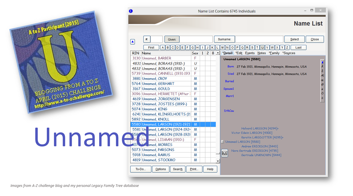 Scandia Musings & More: U is for Unnamed