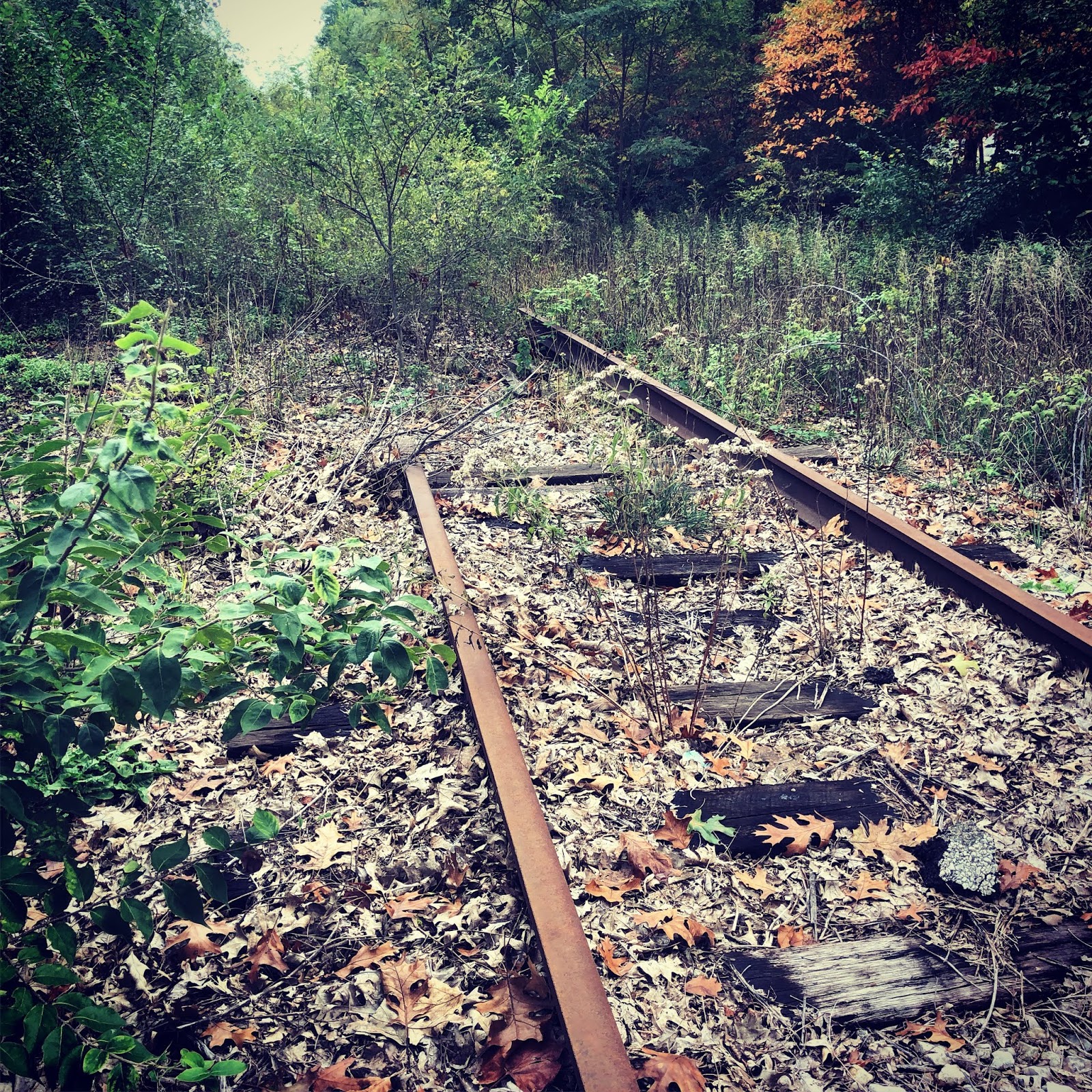 Forgotten Railways, Roads & Places: Hoosier Valley Railroad Museum: The ...