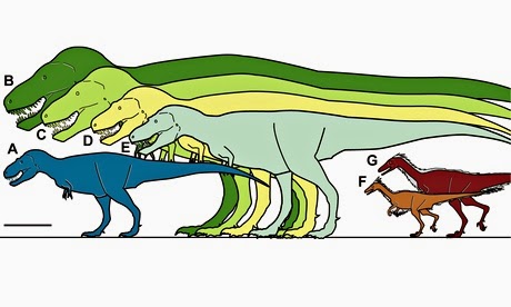 EL JOVE PALEONTÒLEG: Nanuqsaurus hoglundi, una nova espècie de ...