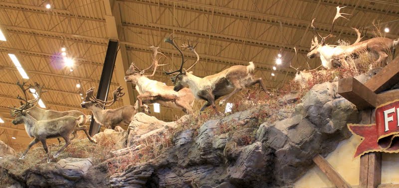 My Mountain Garden Gleanings: Bass Pro Shop