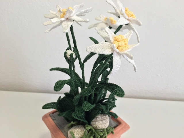 How to crochet a Edelweiss