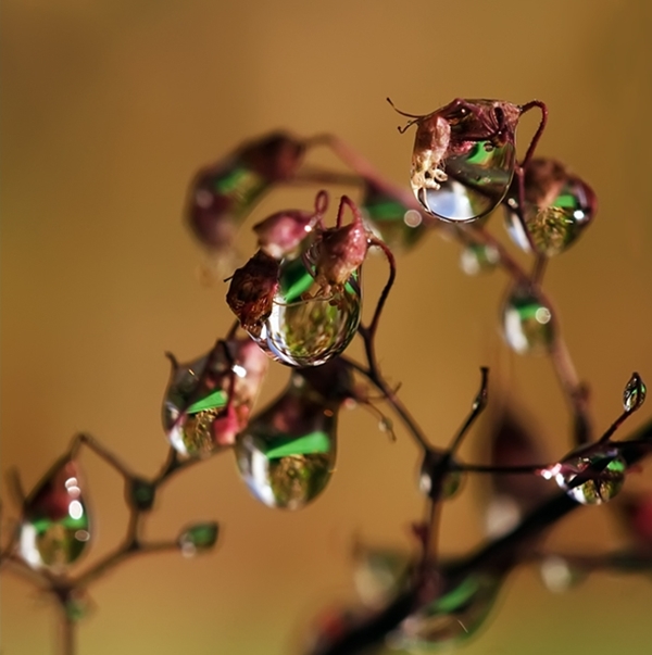 Get Images: Beautiful Colorful Raindrops