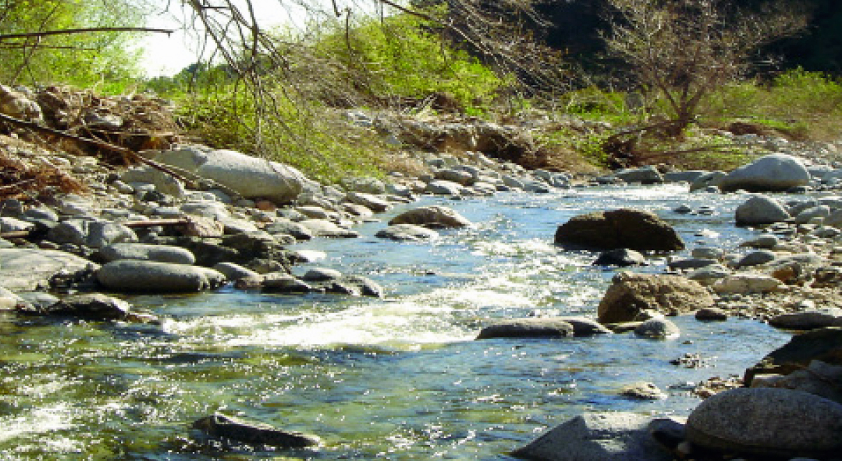 Ann Erdman: What's the Future of Water in Pasadena?