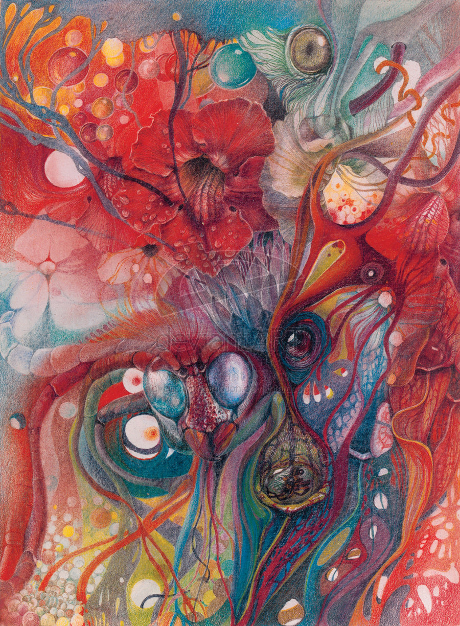 Visualistic: METAMORPHOSIS SERIES :D