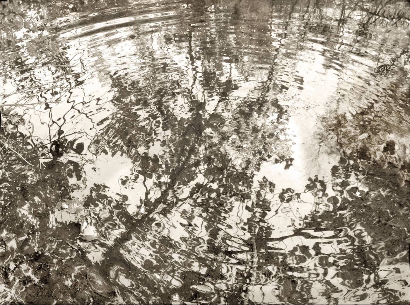 Boarding House Studio Galleries: Fine Art Photography, Pond, Water ...