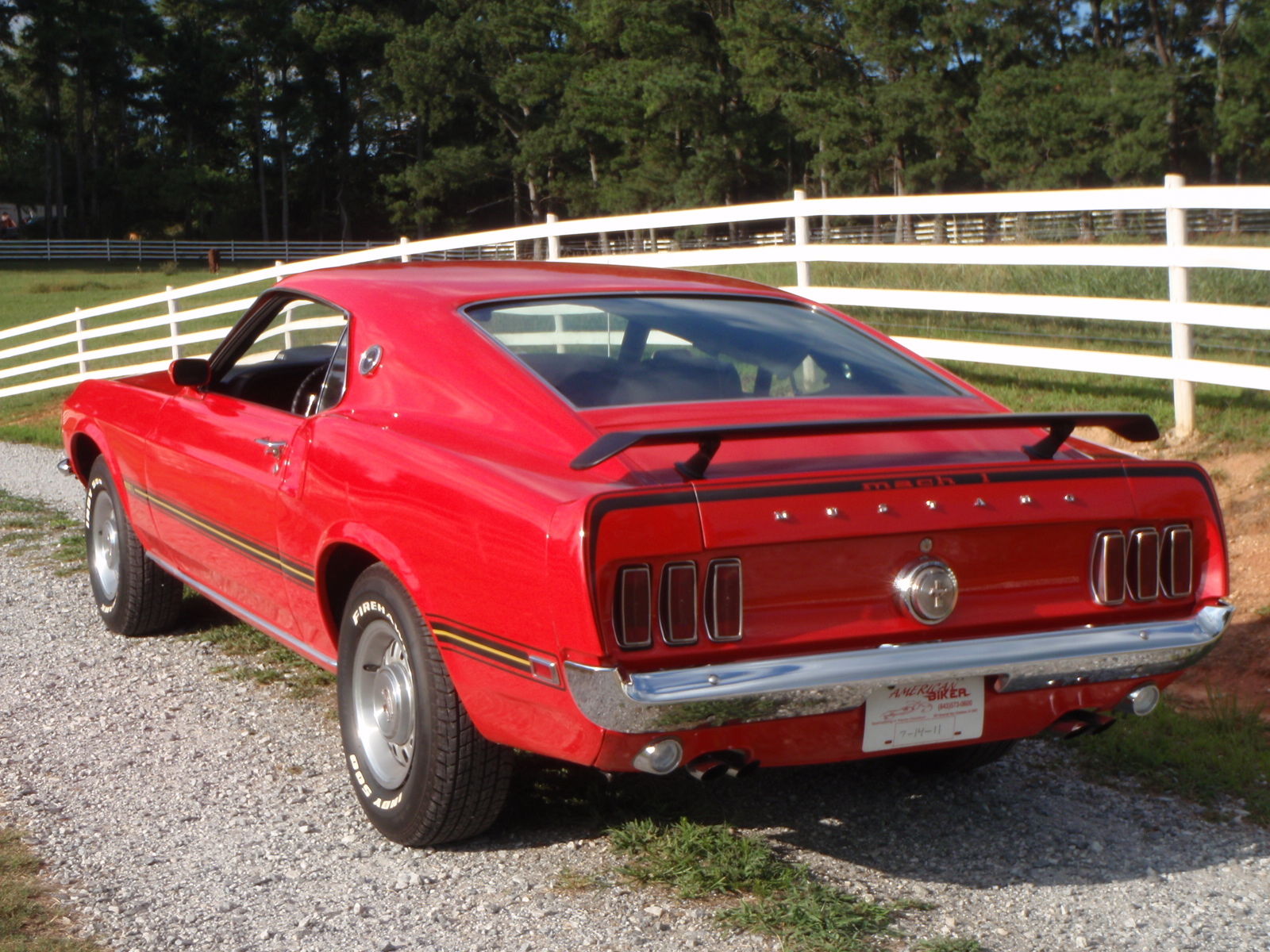 1969 Ford Mustang Mach 1 SportsRoof Pictures Gallery ~ cars pictures