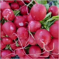 MARHABA VEGGIES & FRUITS Veggies Benefits: Radish مولی