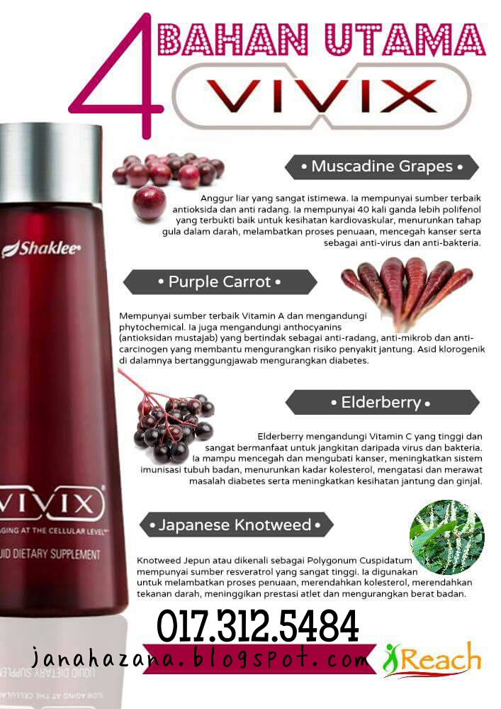 Promosi Vivix 2016: Si kembar yang menjadi rebutan ramai - Jana Hazana