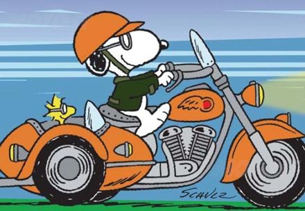 Snoopy | Imágenes de snoopy, Snoopy dibujos, Snoopy