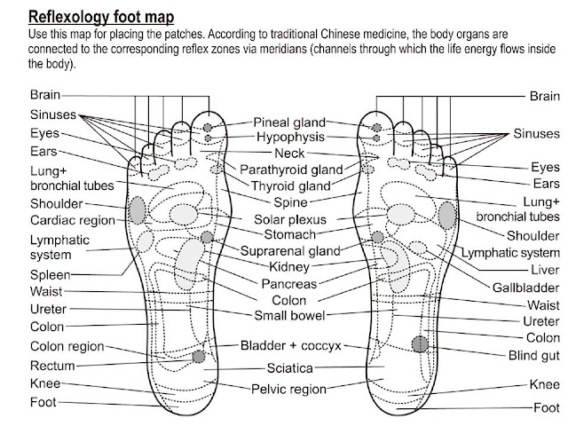 My Journey: Information About Pallova2 Foot Patch