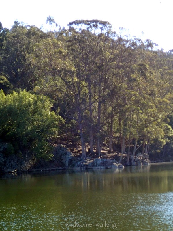 wild women walking: Tilden Regional Park | Lake Anza to Inspiration Point