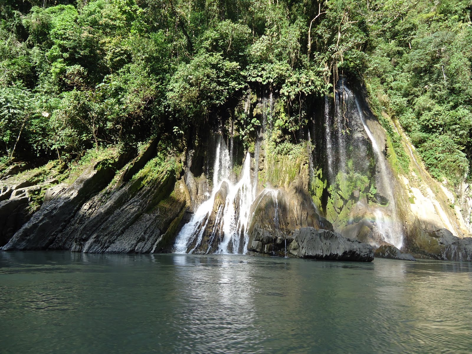 משפחת הלל וולף מסביב לעולם: Pongo de Mainique 1