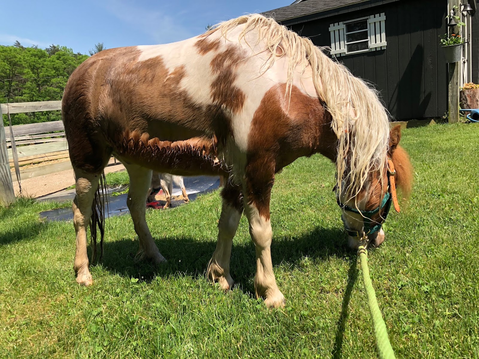 The List Gets Smaller