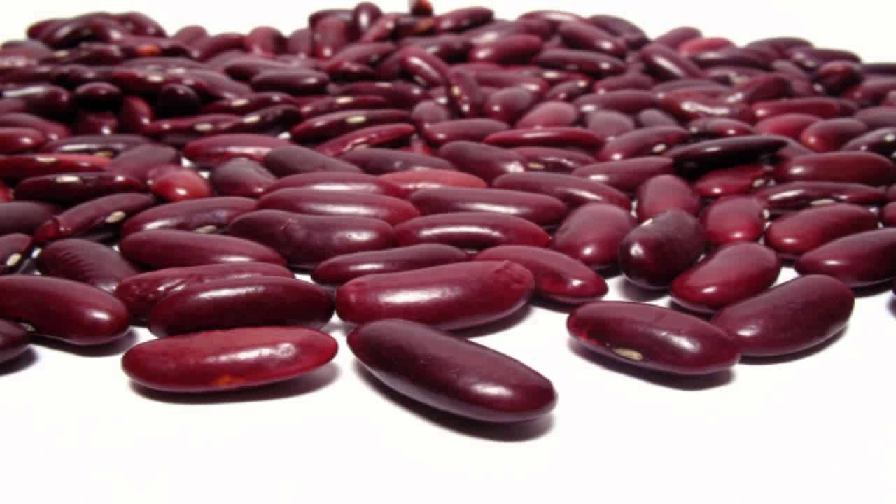 Mitoslavia: Pitagoras i fasola