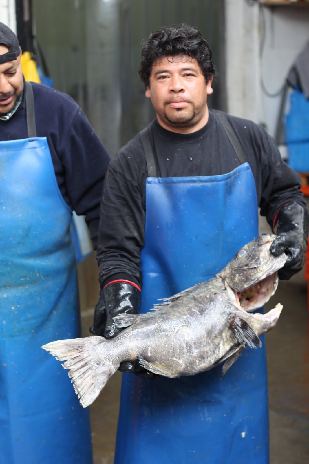 To Market, To Market with San Diego Foodstuff: 6th St.: Tijuana's ...