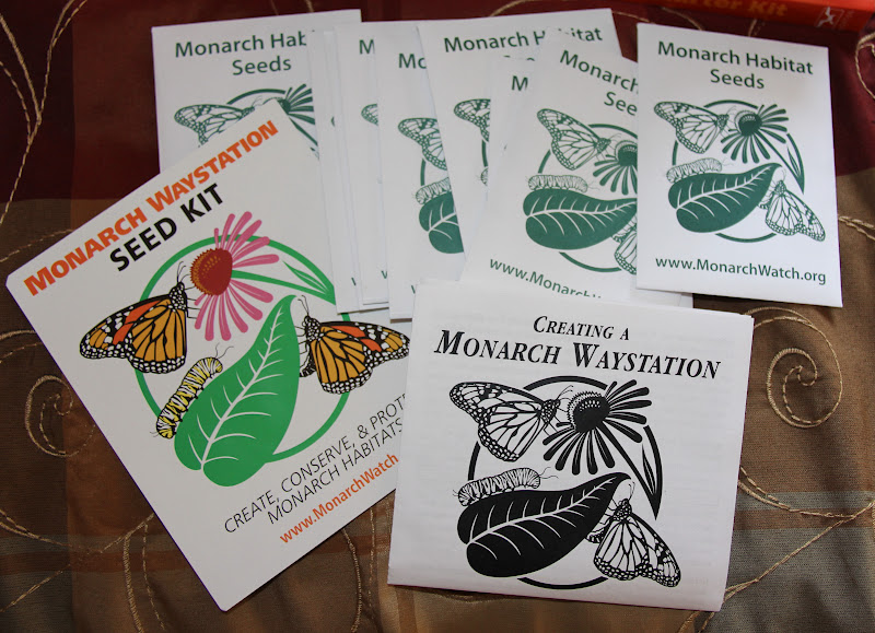 Express Your Creativity: Creating a Monarch Waystation