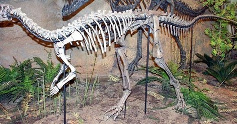 Equatorial Minnesota: Eousdryosaurus