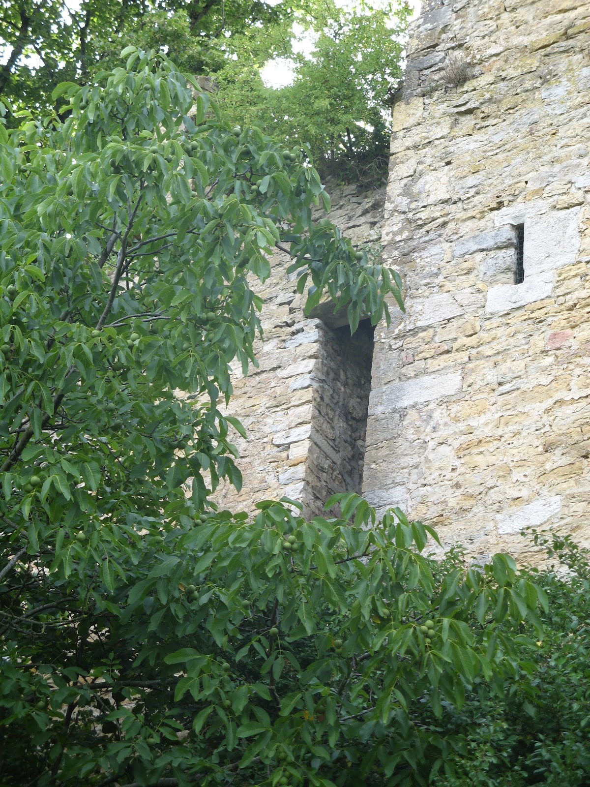 MES VIEUX CHATEAUX: Le Chateau d'Arlay