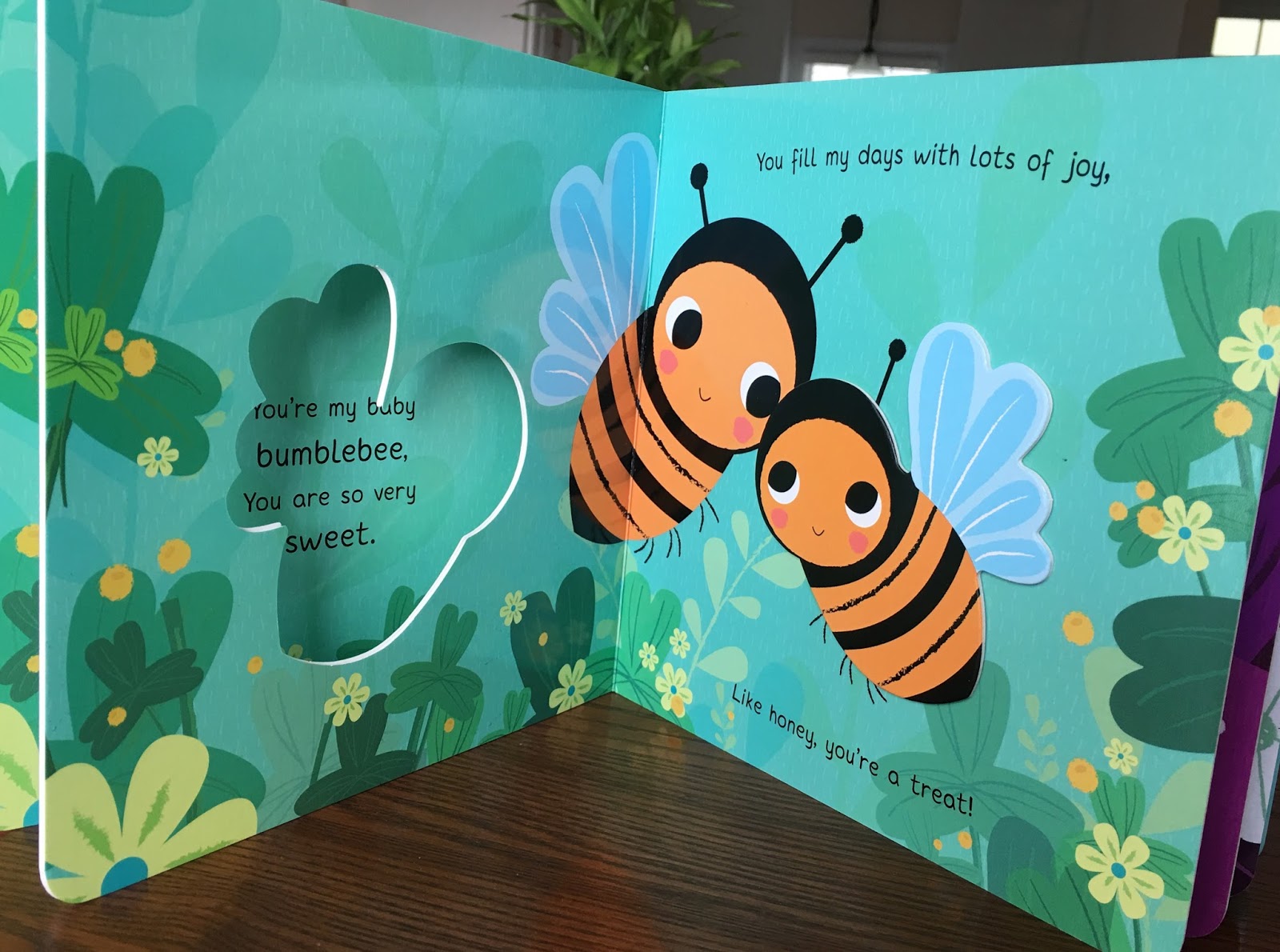 Chat with Vera: You’re My Little Cuddle Bug by Nicola Edwards and ...