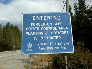 Enver Creek Home Economics: Pemberton Potatoes