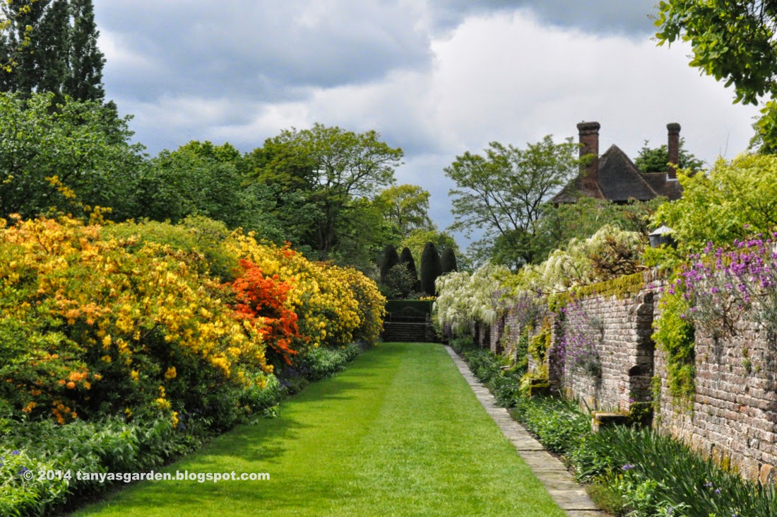 MySecretGarden: Sissinghurst Pictures: Moat Walk, Azalea Bank and the ...