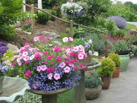 Annual Spring Open House