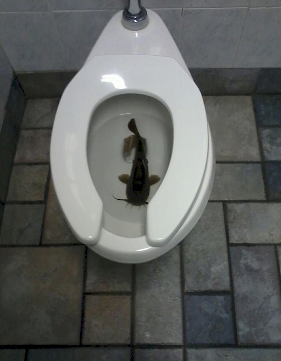 Que c'est beau la photographie: Pause Pipi