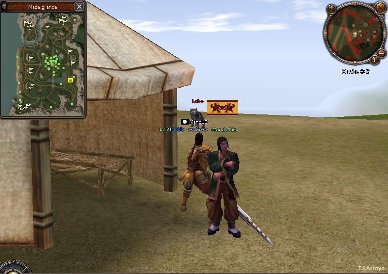 Guía Metin2.es-TJ : 11-NPC