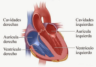 Mi clase educaTIC CONO: 2013