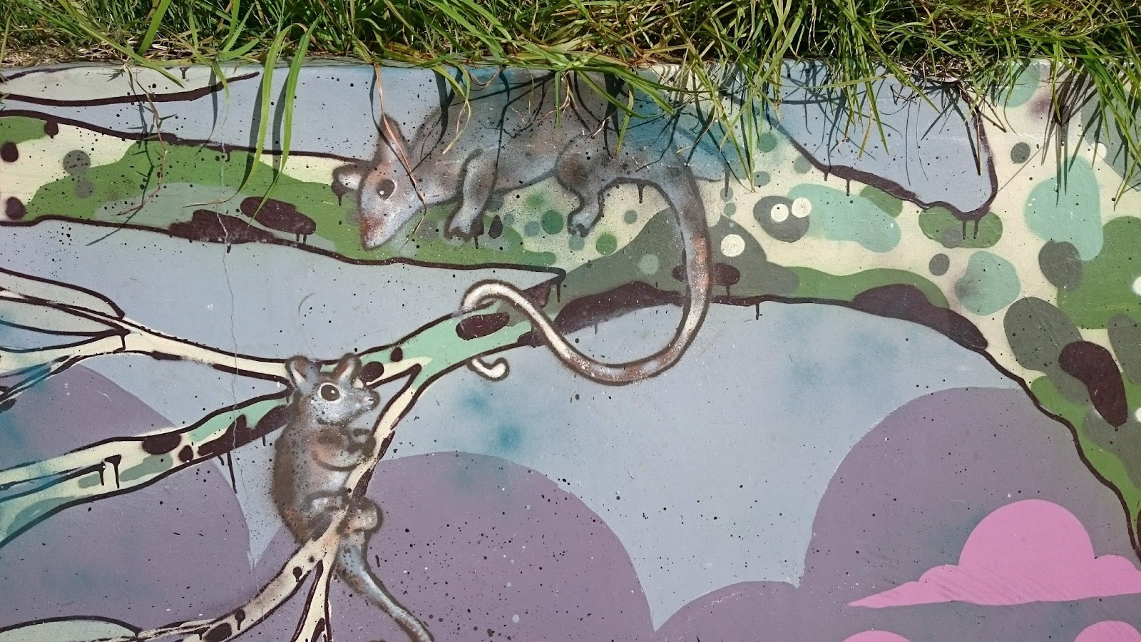 where the Birrarung River meets Merri Creek