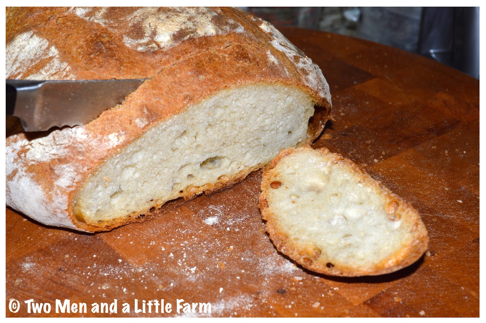 Two Men and a Little Farm: CURE FOR WHAT AILS YA